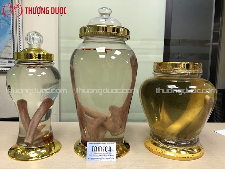 Rượu nhung hươu| Thần dược bồi bổ dành cho phái mạnh