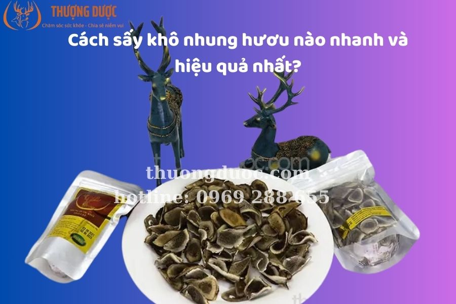 TOP 6+ Cách Sấy Khô Nhung Hươu Nhanh Chóng, Đơn Giản